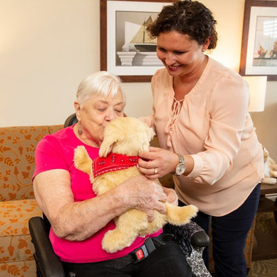 Joy For All Companion Pet Pup - Story & Sons