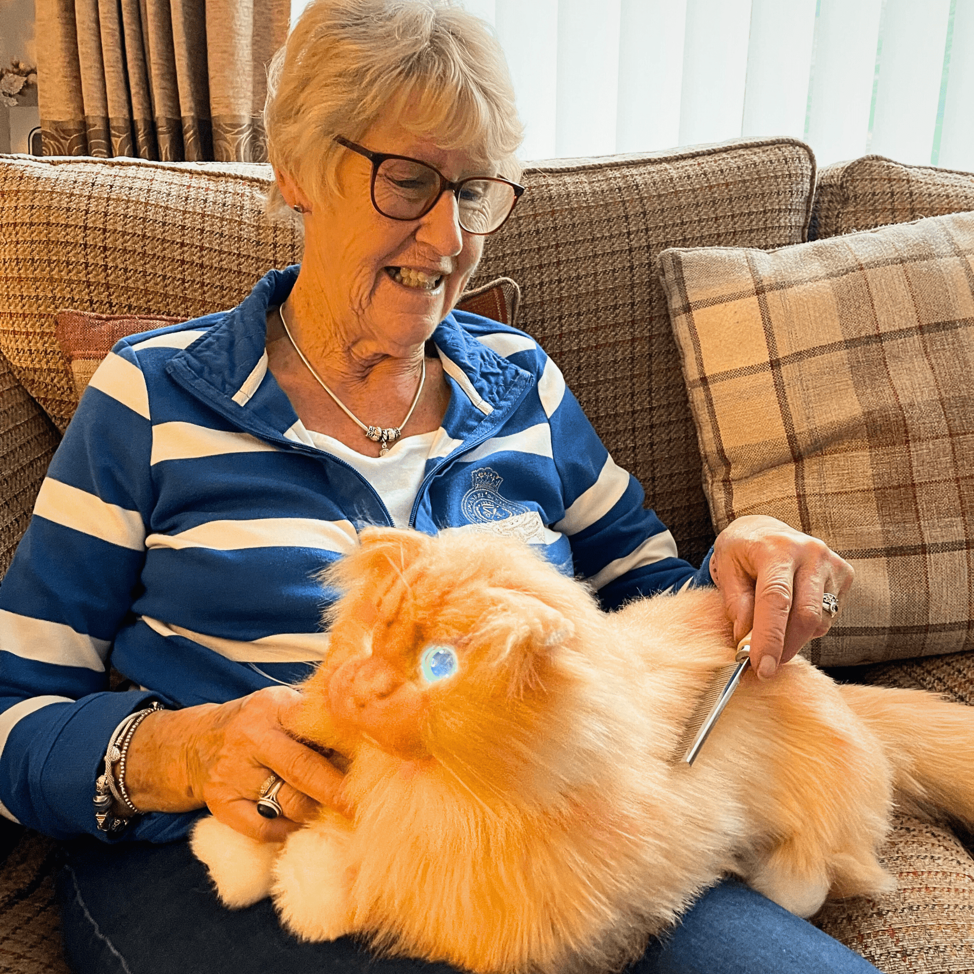 Marmalade the Cat - Ravencourt Living - Story & Sons